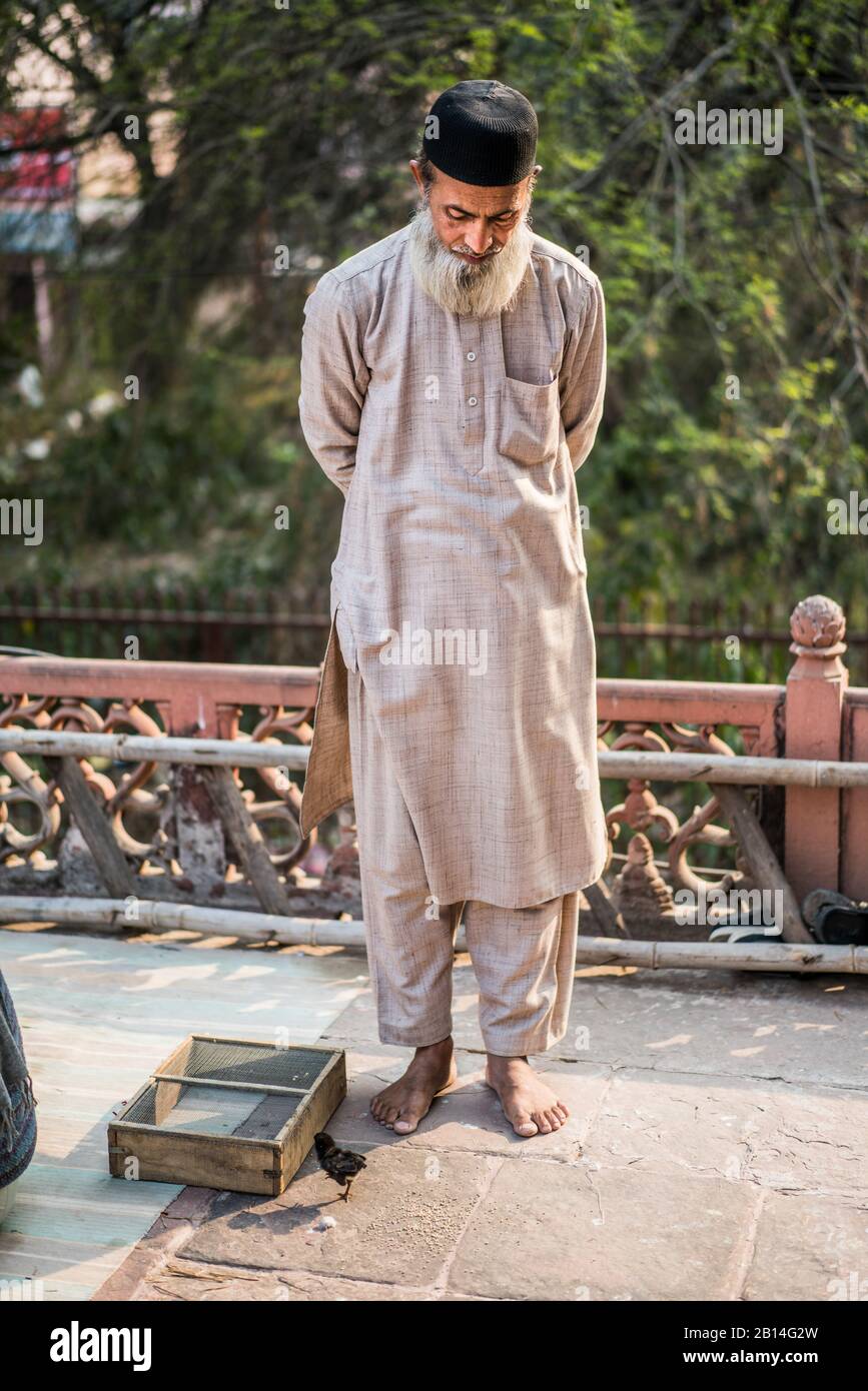 Local man in the street in the Agra, India, Asia Stock Photo - Alamy