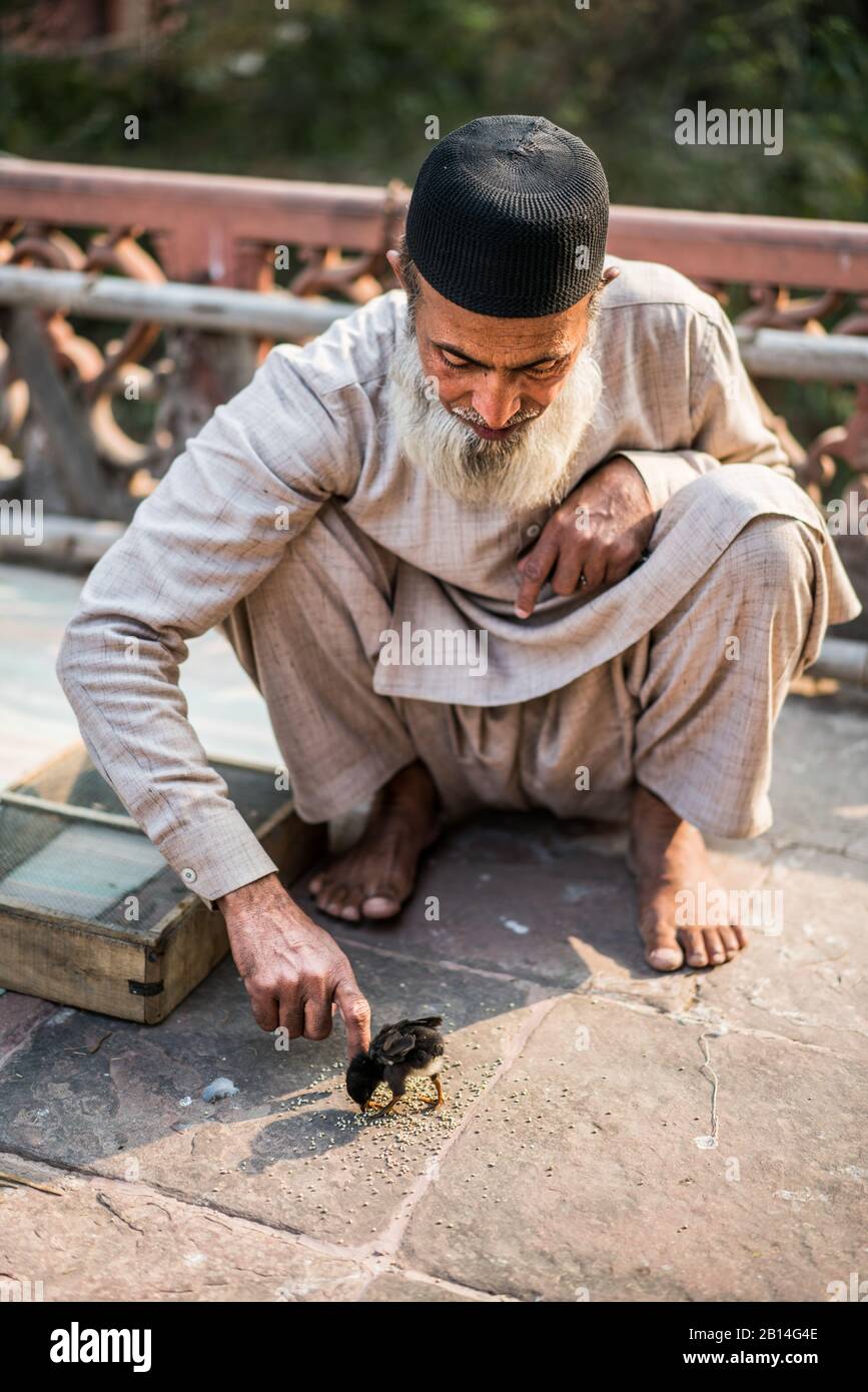 Local man in the street in the Agra, India, Asia Stock Photo - Alamy