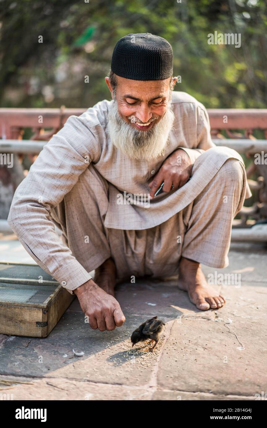Local man in the street in the Agra, India, Asia Stock Photo - Alamy