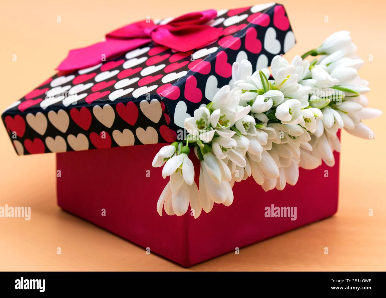 bunch of snowdrops in a colorful present box love concept Stock Photo ...