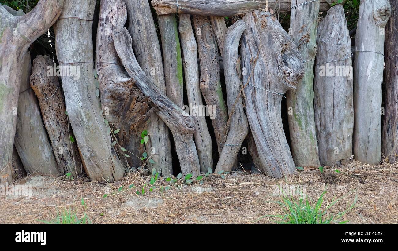 Thick tree logs arranged and tied together to form a wall Stock Photo ...