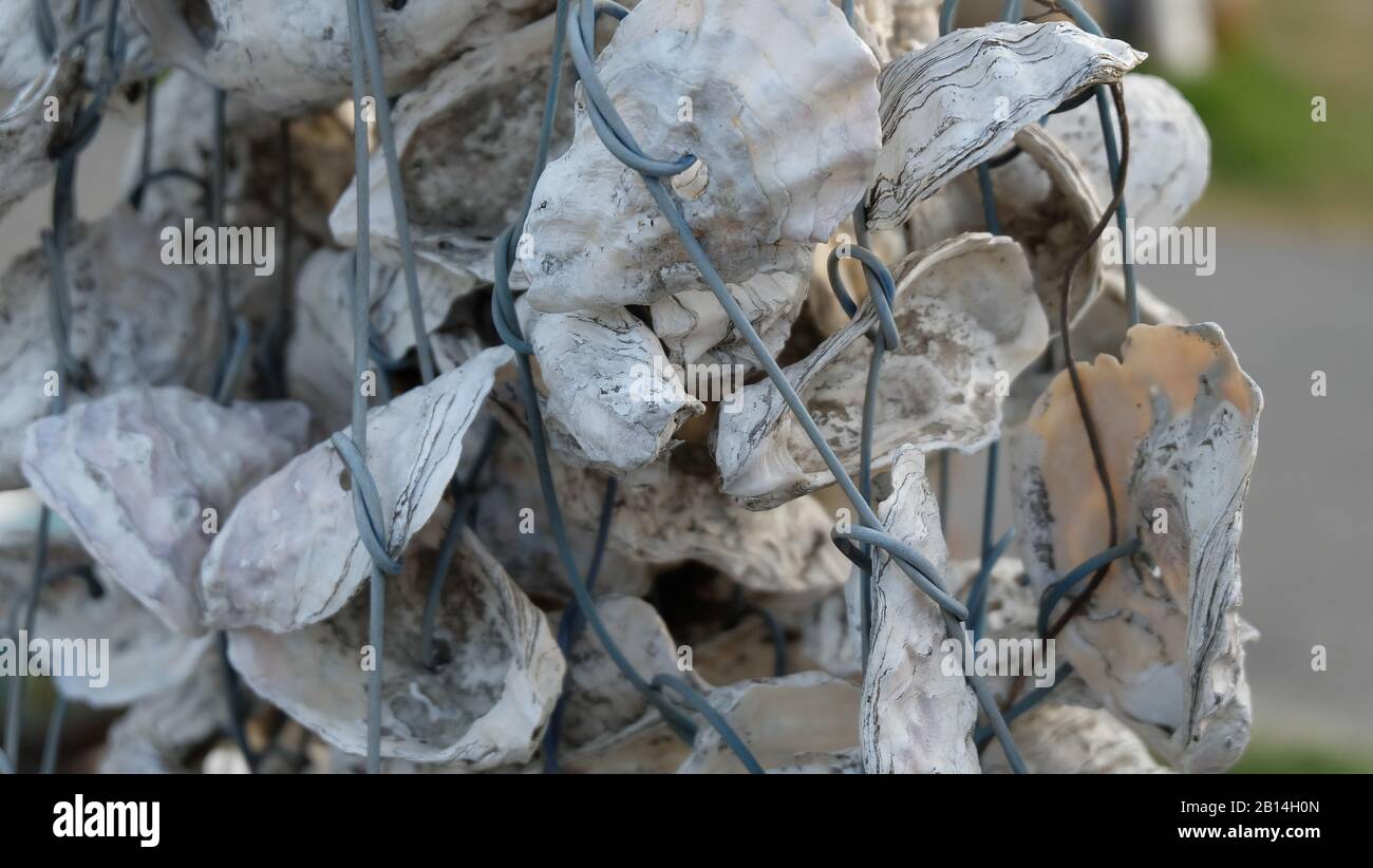 Shell remains hi-res stock photography and images - Alamy