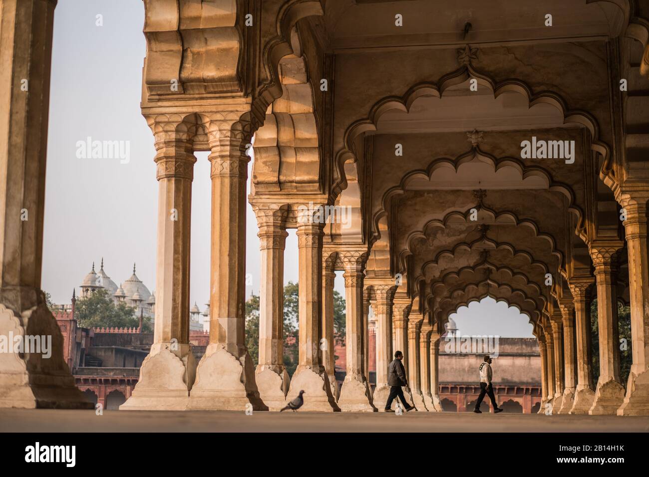 Agra Fort, Agra, India, Asia Stock Photo - Alamy