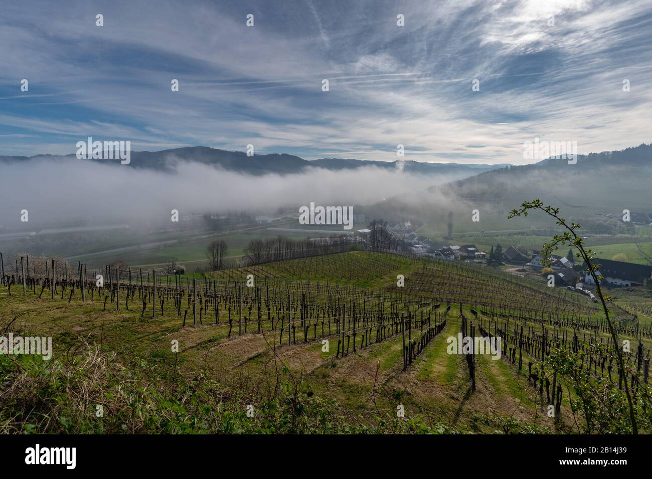 Landscape of the Renchtal at Oberkirch, a village in the Black Forest ...