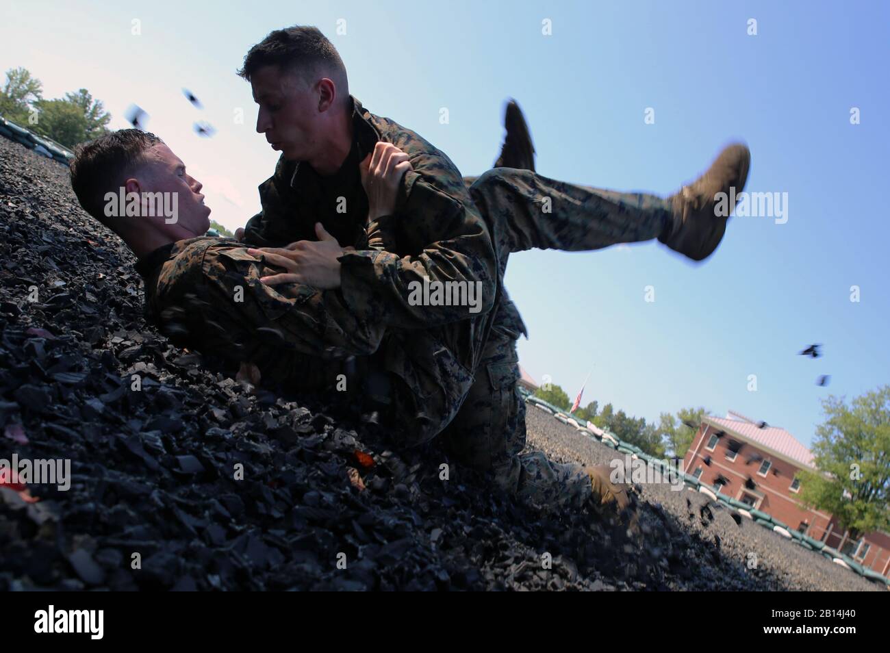 Msau hi-res stock photography and images - Alamy