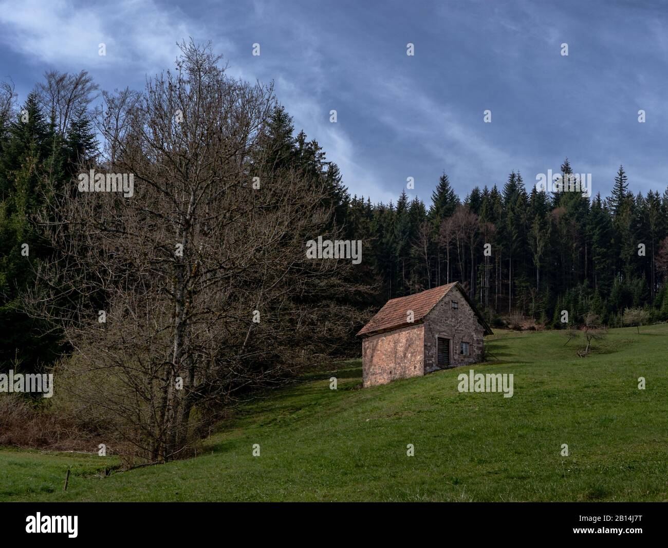 Landscape of the Black Forest with typical old houses, Germany, Europe ...