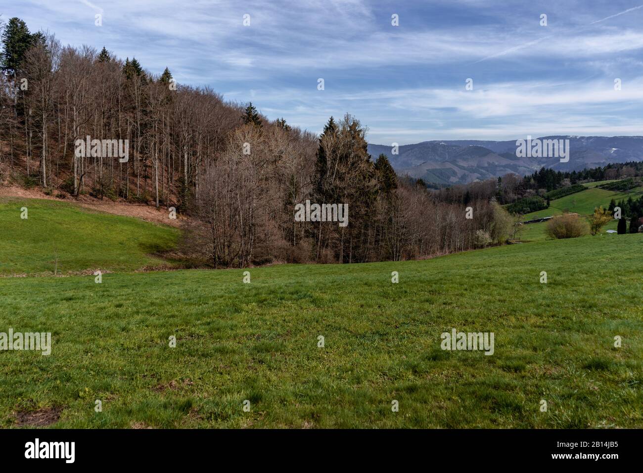 Typical landscape image from the Black Forest with trees and mountains ...