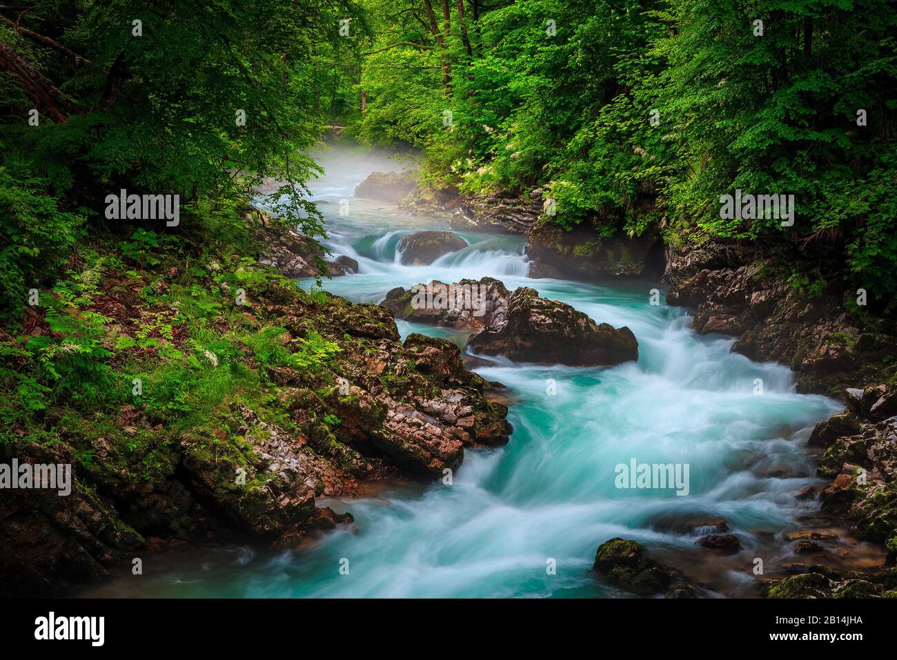 Woodland waterfalls hi-res stock photography and images - Alamy