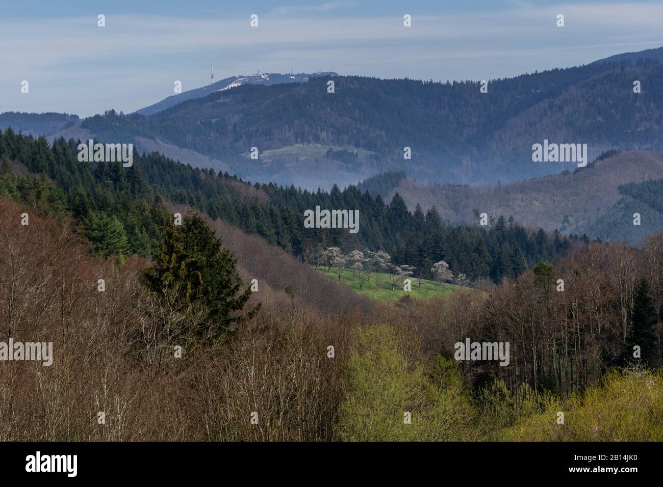 Black forest autumn germany hi-res stock photography and images - Alamy