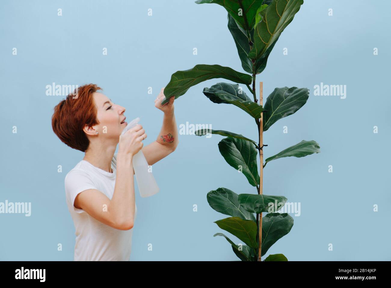Big white hairdo hi-res stock photography and images - Alamy