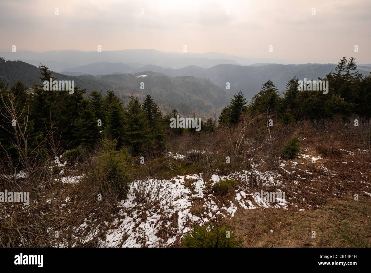 Landscape of the Lothar path in the Black Forest in winter with snow ...