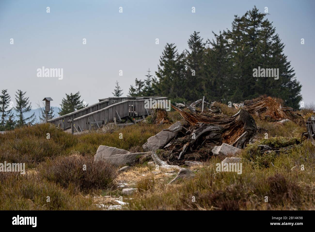 Landscape of the Lothar path in the Black Forest in winter with snow ...