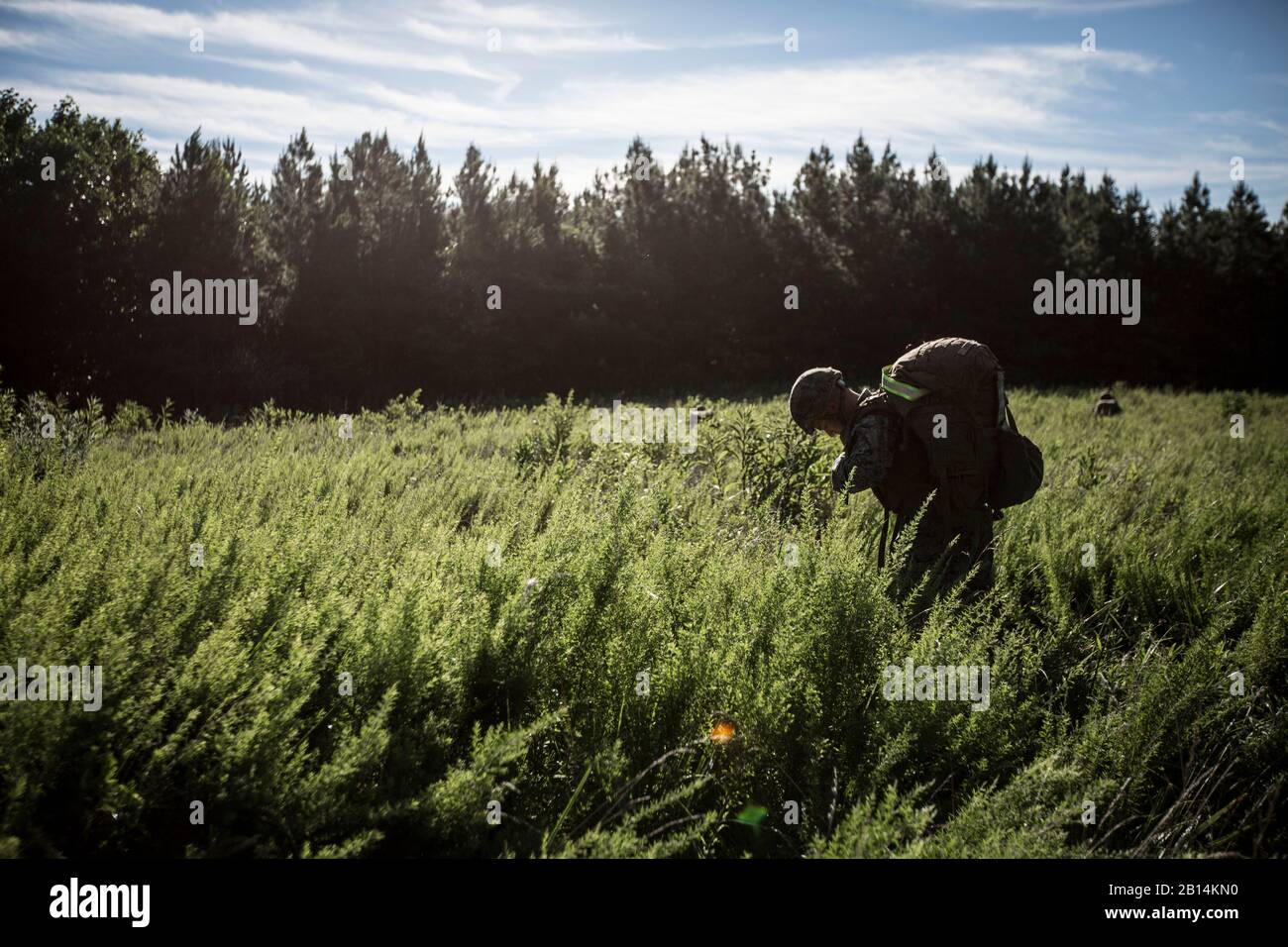 Marine Corps Martial Arts Instructor Stock Photos & Marine Corps ...
