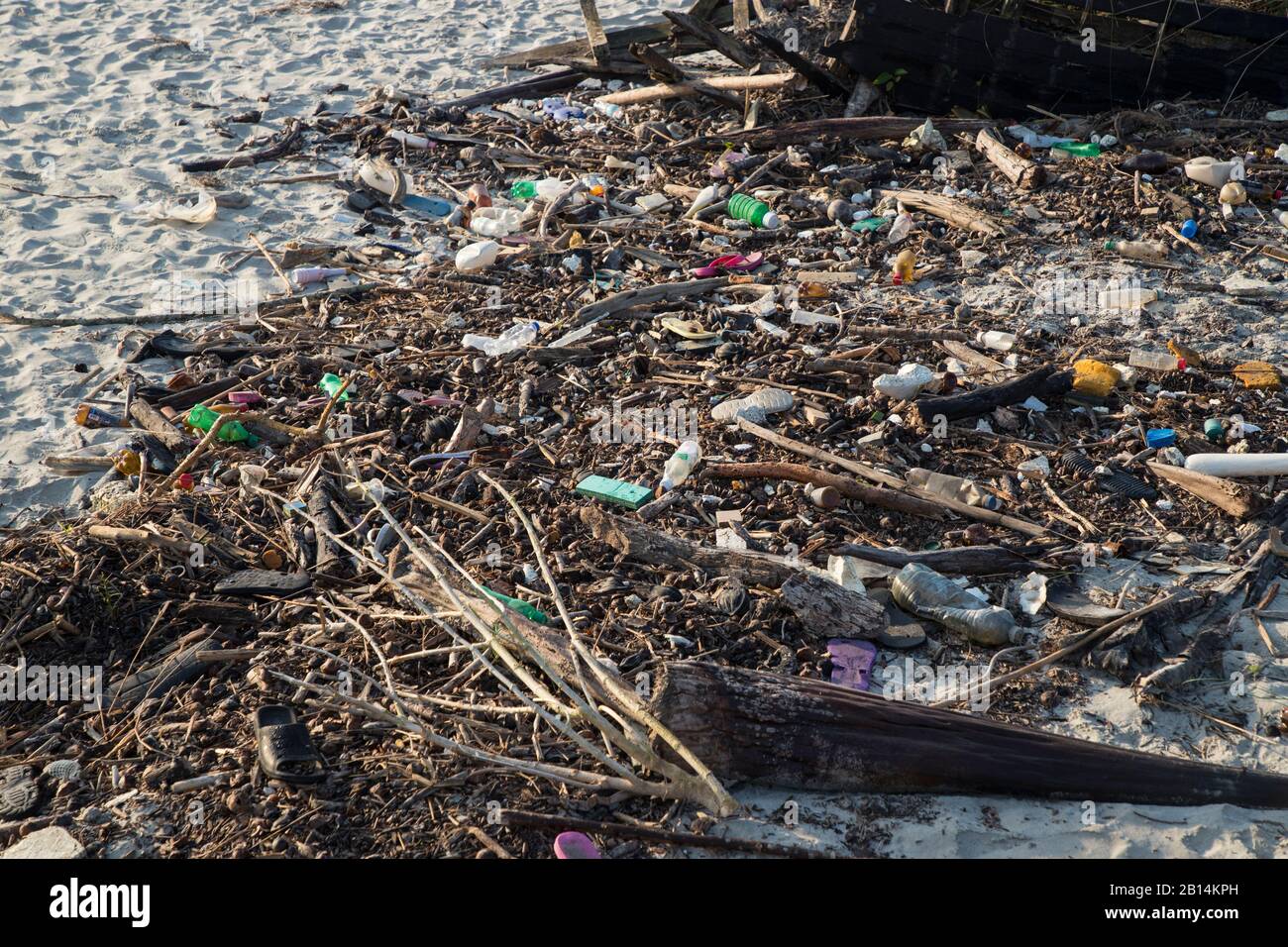 Plastic pollution forest hi-res stock photography and images - Alamy