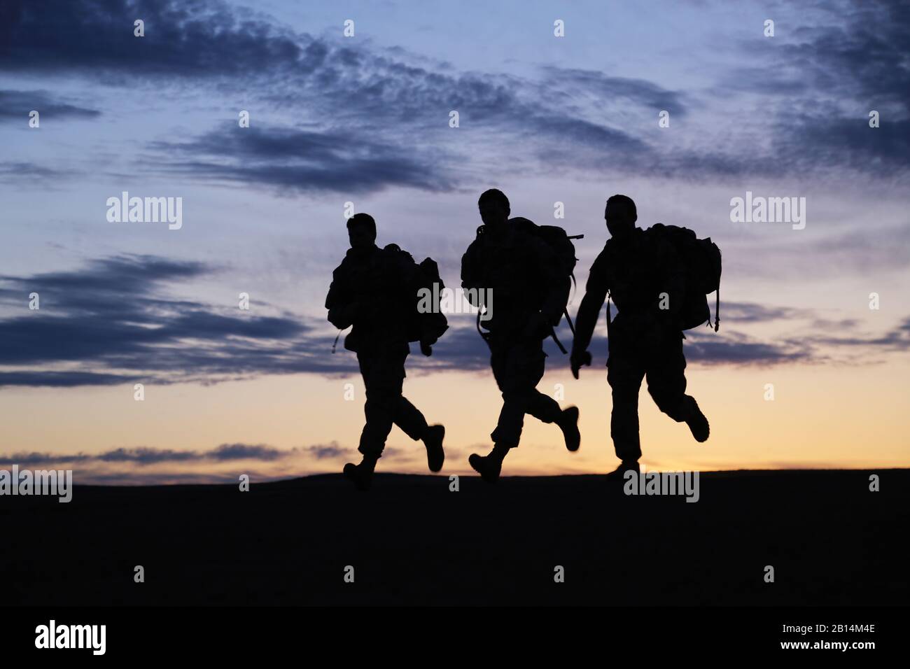 German armed forces proficiency badge hi-res stock photography and ...