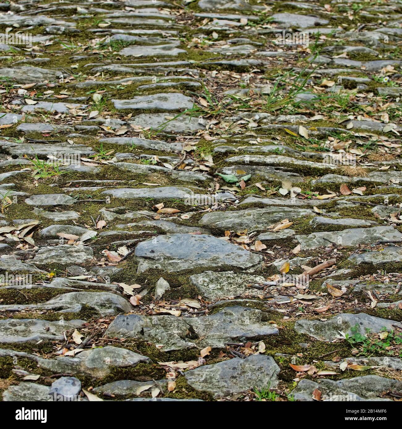 Kopfsteinpflaster detail hi-res stock photography and images - Alamy