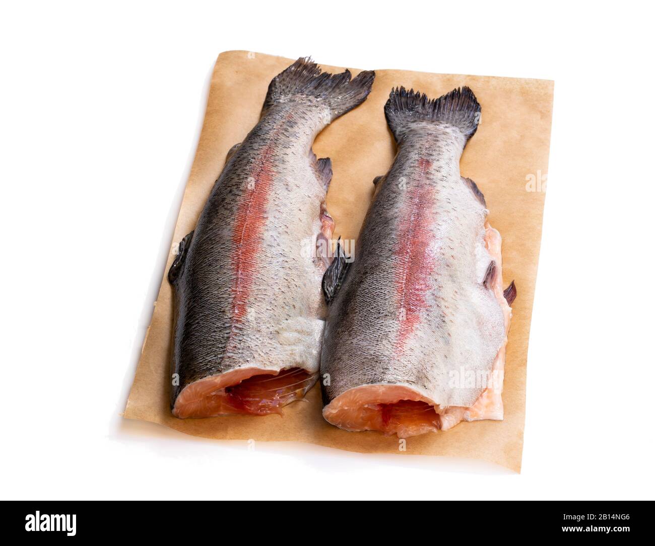 Fresh raw rainbow trout fish with head removed isolated on white Stock ...