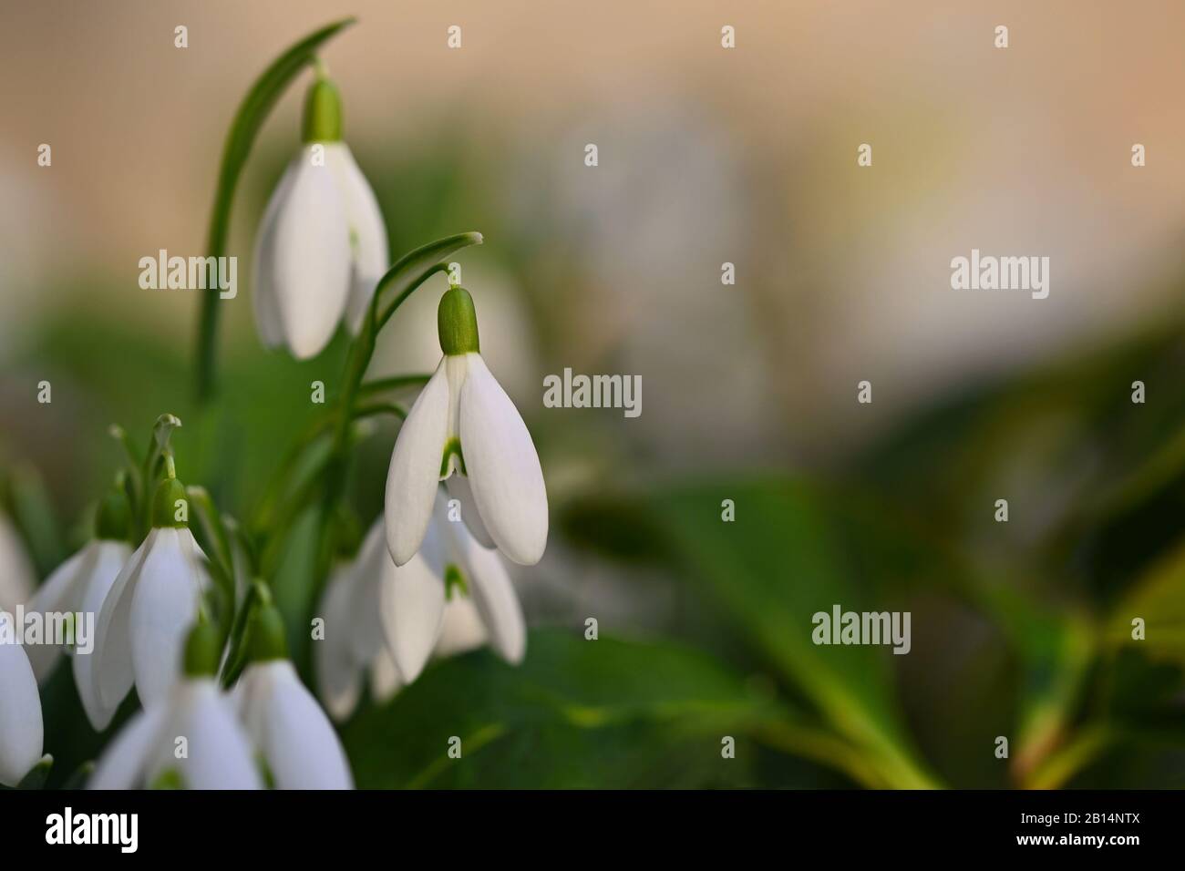 Late Winter Early Spring Wallpaper