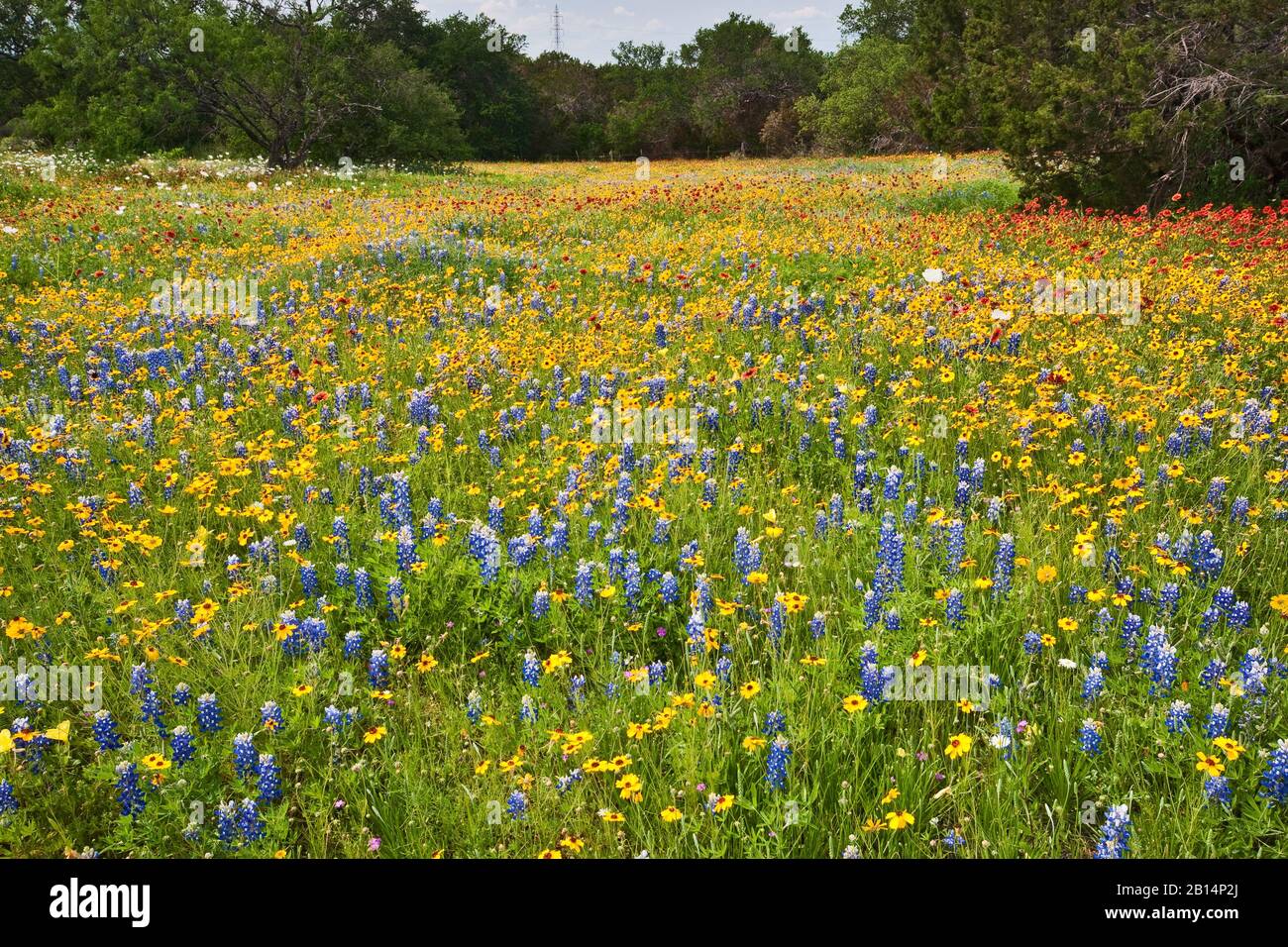 Abundance loop hi-res stock photography and images - Alamy