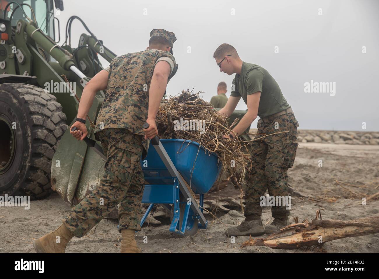 Assault amphibian school battalion hi-res stock photography and images ...