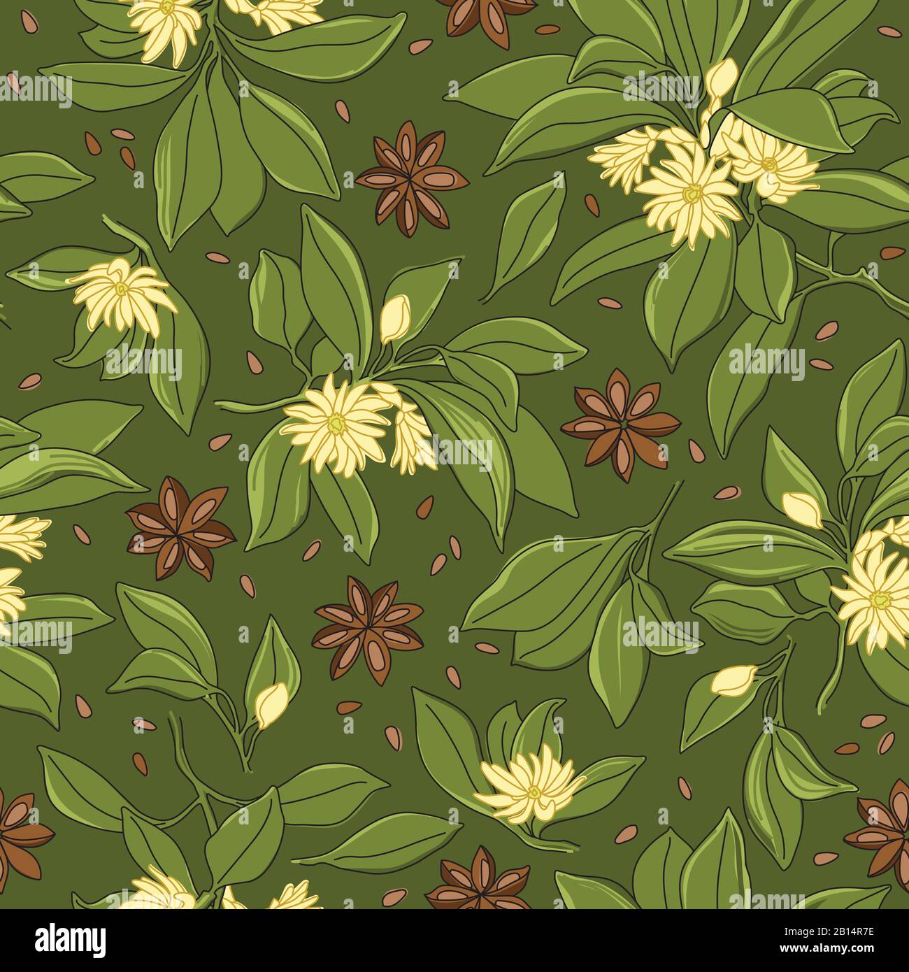 Star anise green leaves Stock Vector Images - Alamy