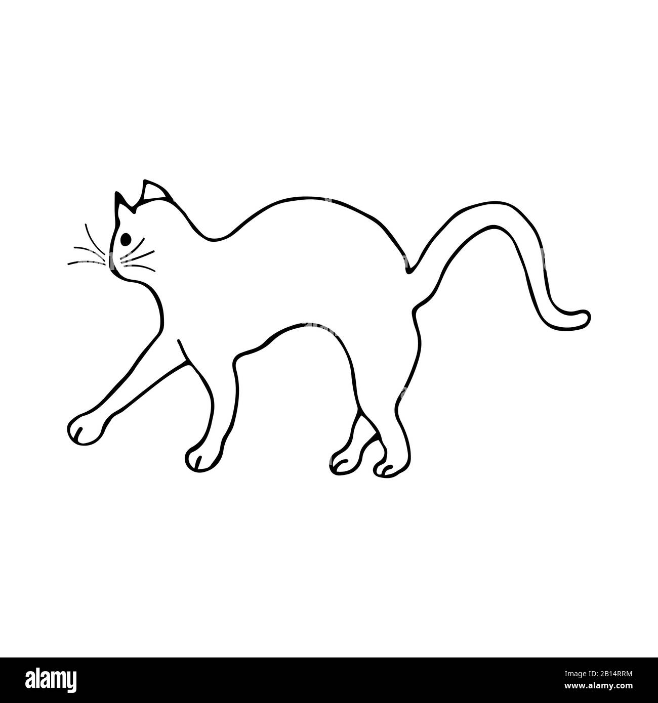 Doodle cat arched his back, black and white illustration on white ...
