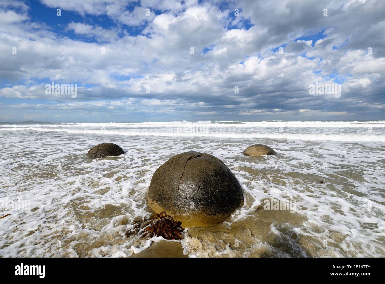 The huge round stone Moeraki boulders.The popular tourist attraction in ...