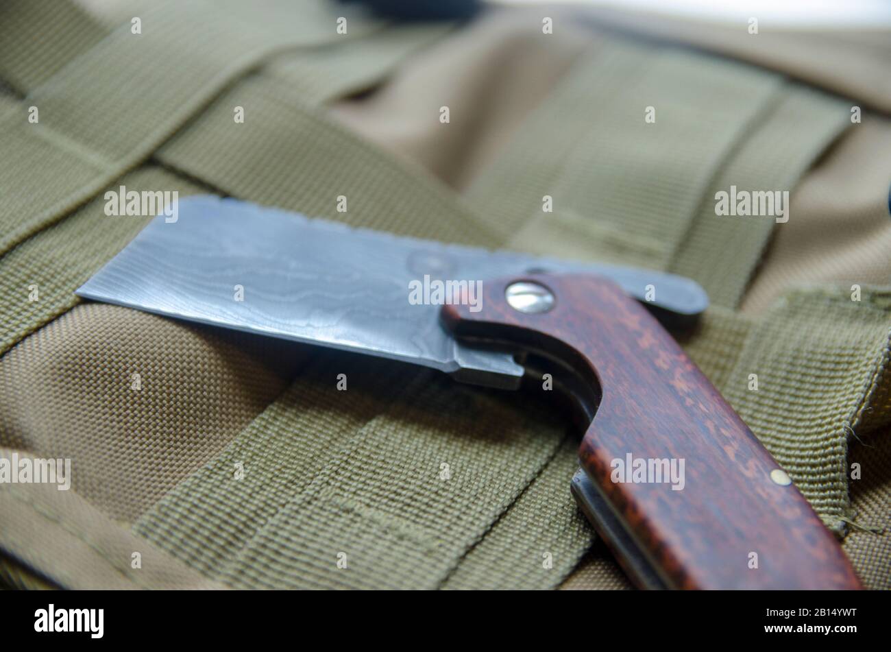 Tactical forest hi-res stock photography and images - Alamy