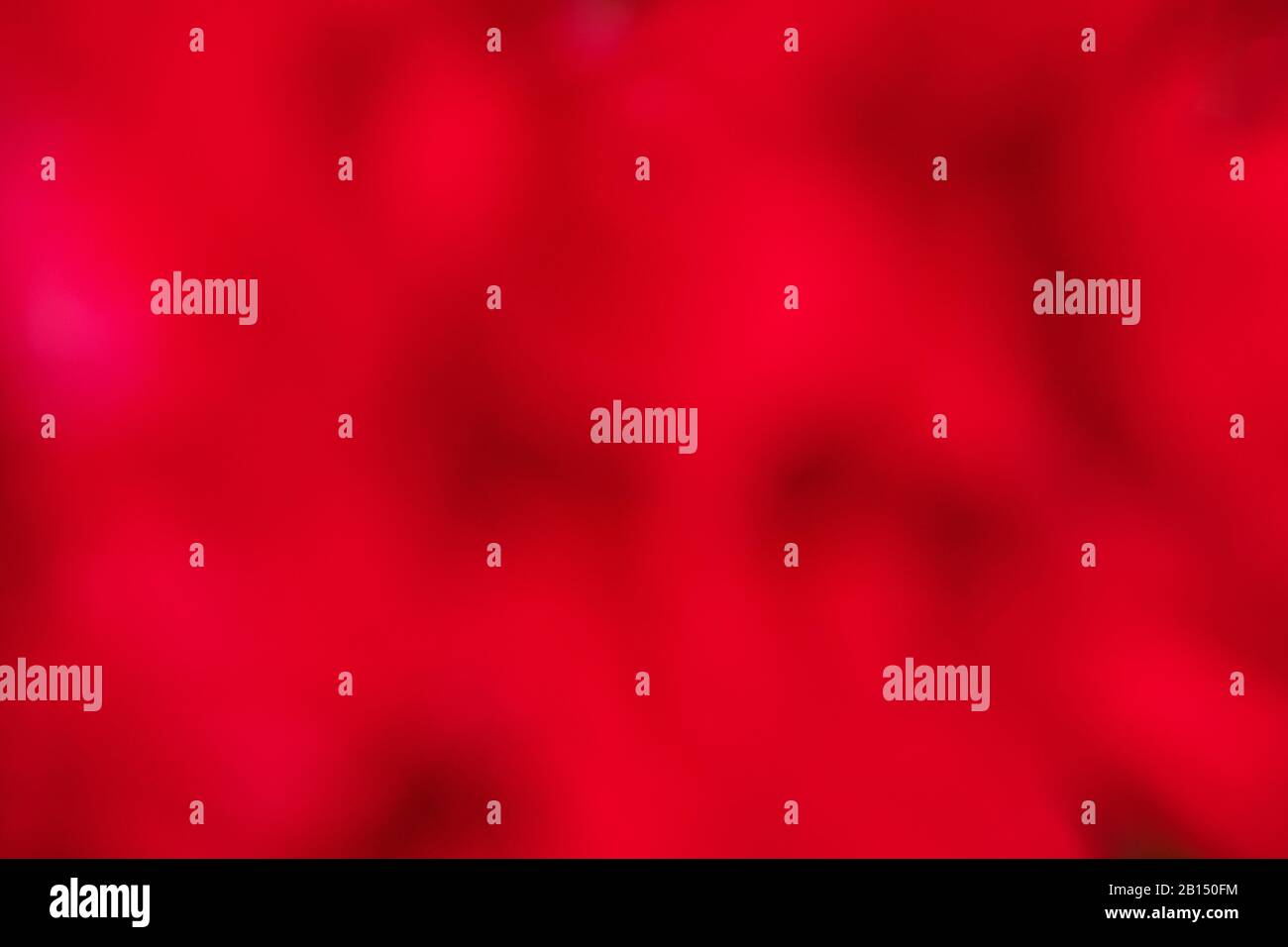 abstract background : summer colorful tones dreamy beautiful red flower ...