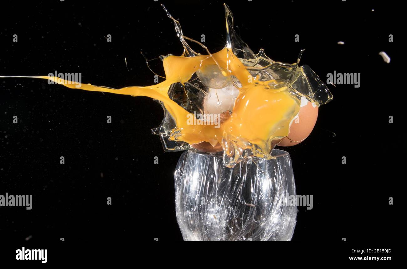 high speed photography. Egg exploding by a shot. yellow color Stock ...
