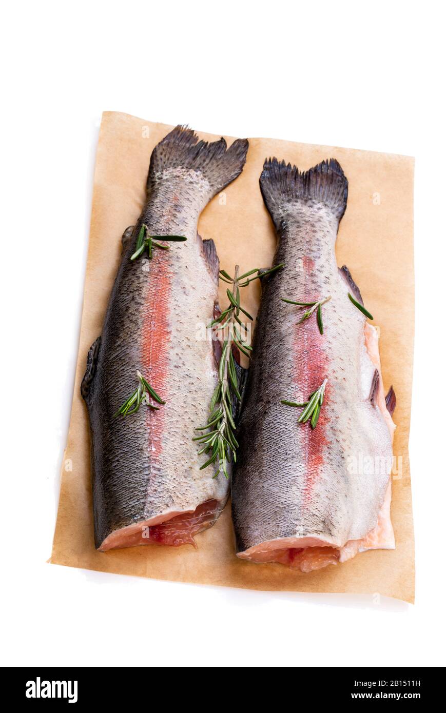 Fresh raw rainbow trout fish with head removed isolated on white Stock ...