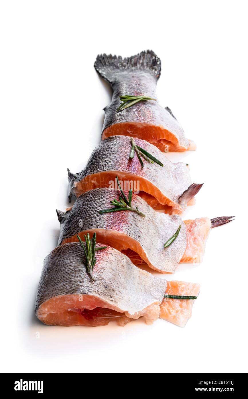 Fresh raw rainbow trout fish cut into slices with rosemary isolated on ...