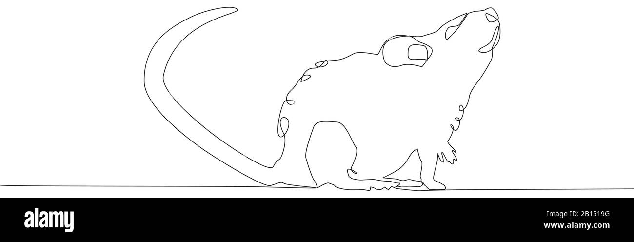 Rat mouse continuous line drawing. One hand drawn single lineart style ...