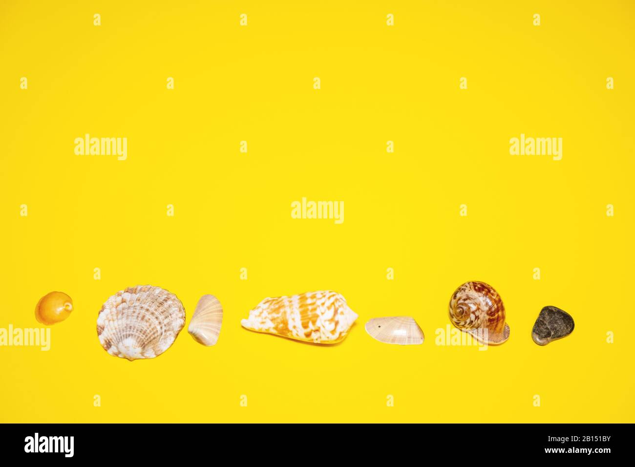 Shell pattern bright yellow background. Сoncept summer vacation and ...