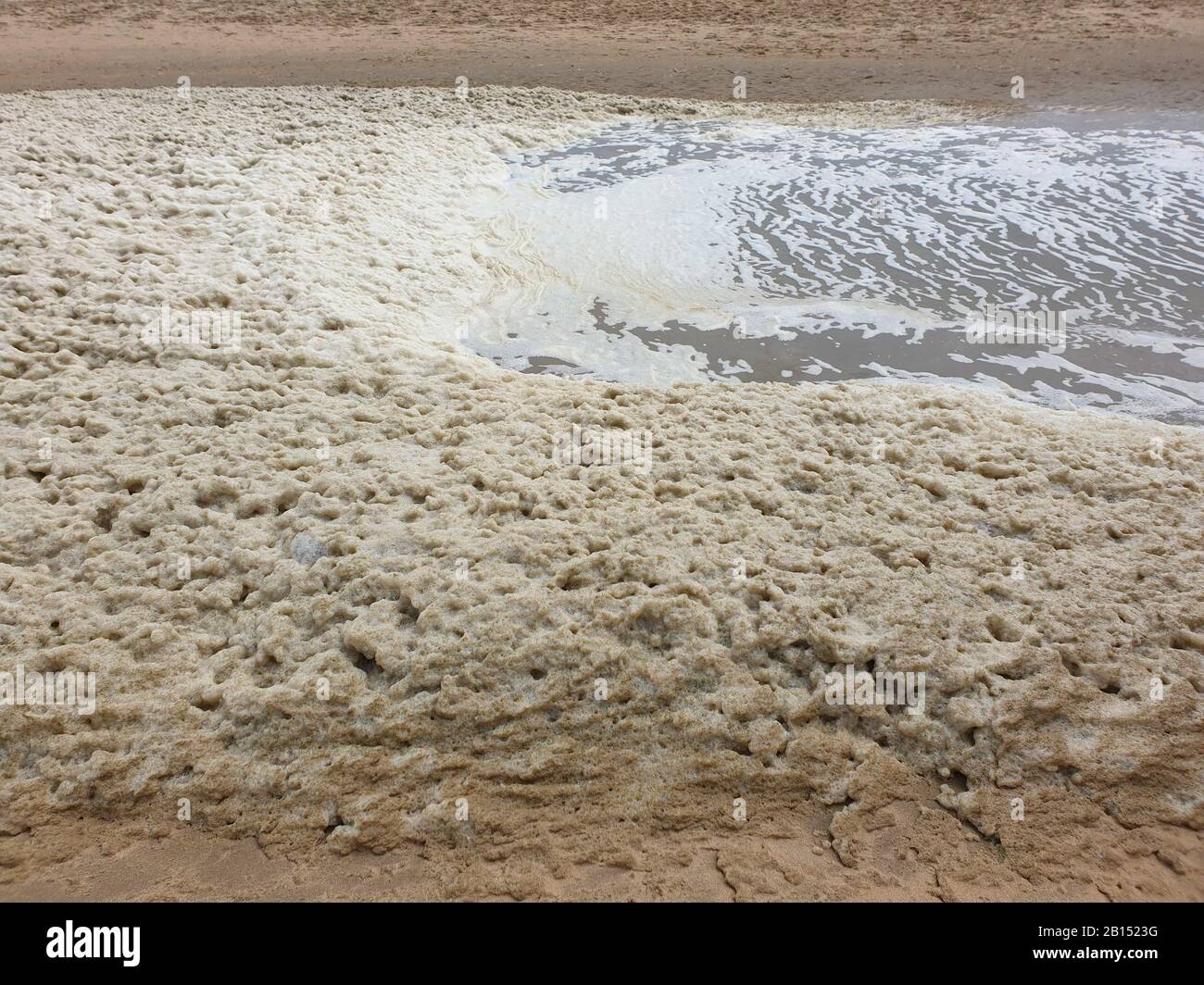 Sea foam on the north sea beach hi-res stock photography and images - Alamy