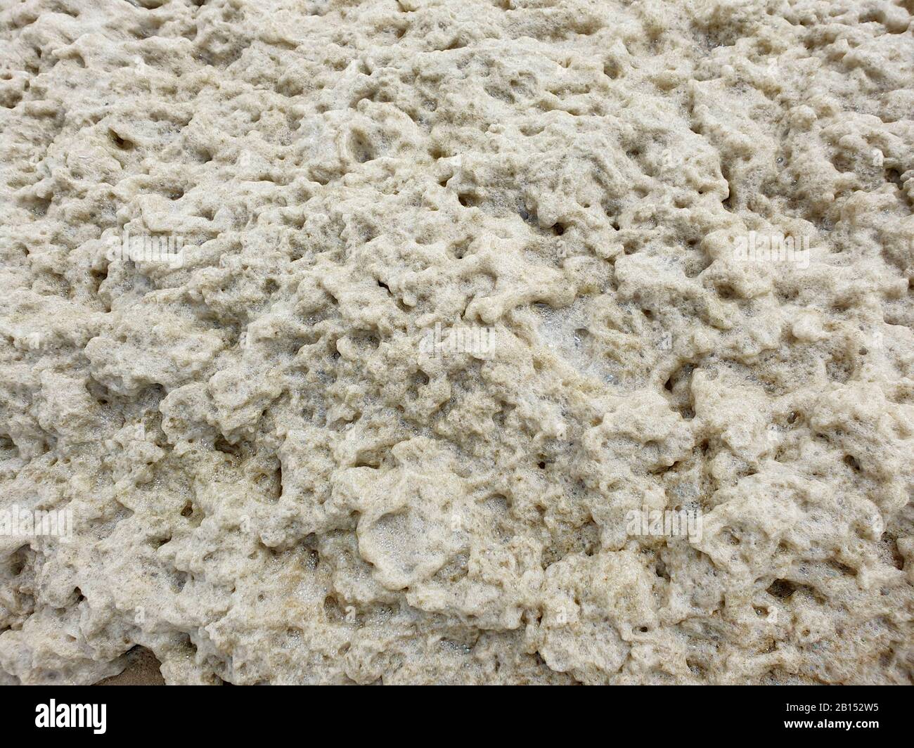 Tidal foam hi-res stock photography and images - Alamy