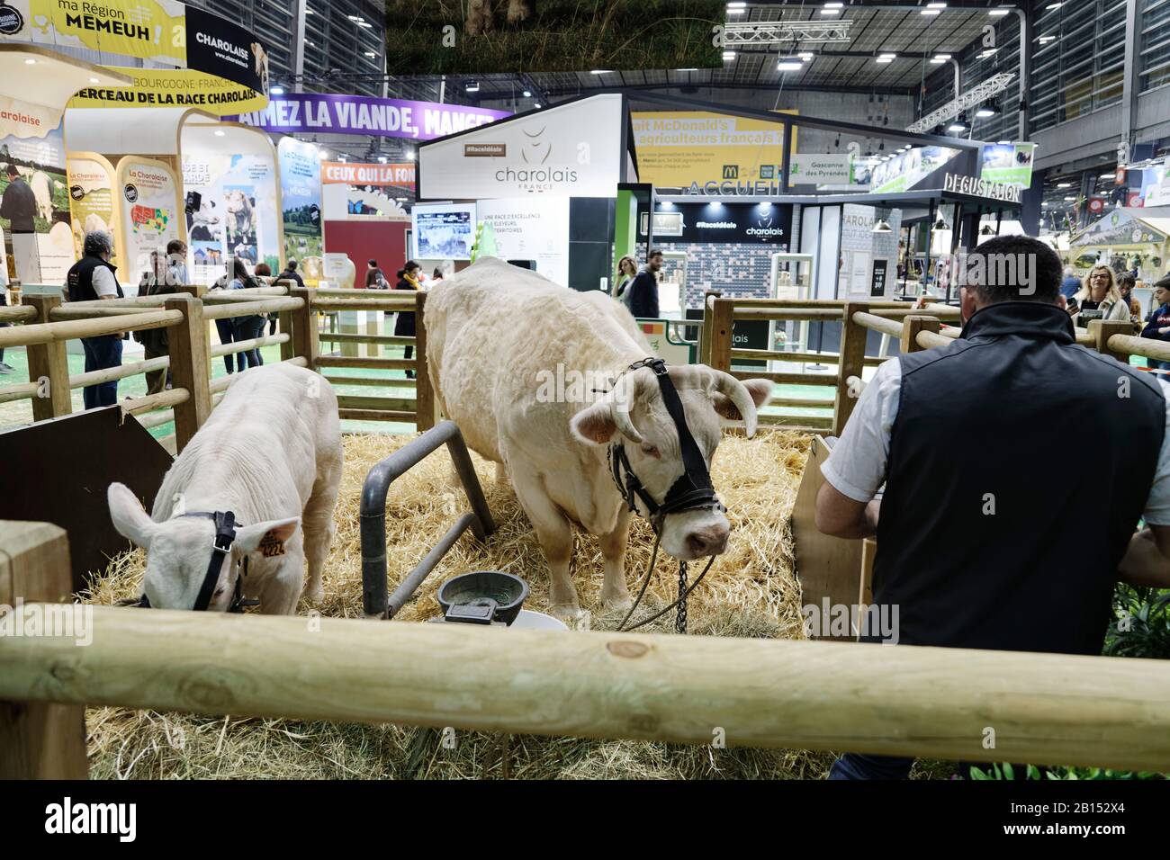 Paris, France. 22nd Feb, 2020. Jean-Marie Goujat farmer of the Ideale ...