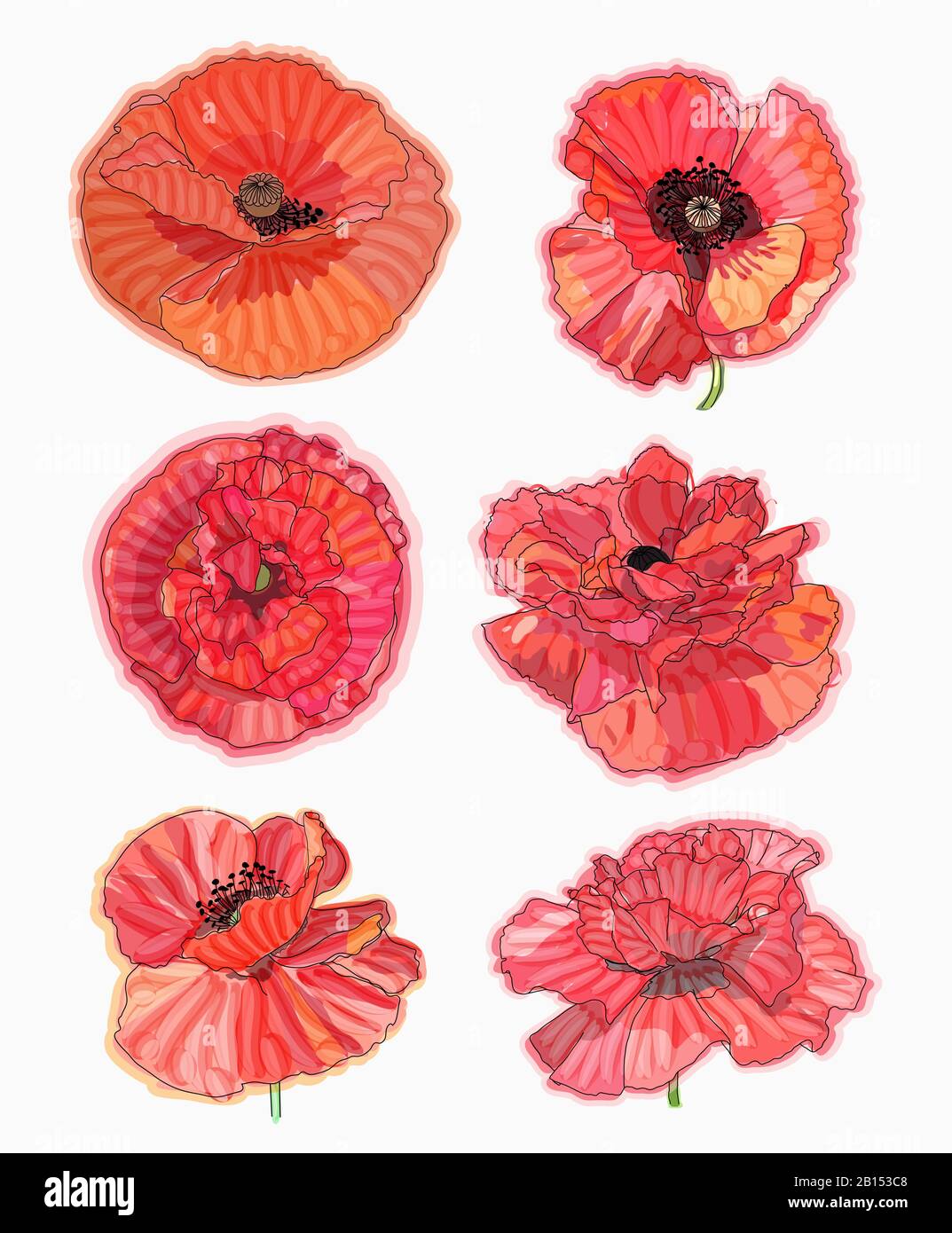 Ink, pencil, watercolor poppy flower sketch. Hand drawn nature painting ...