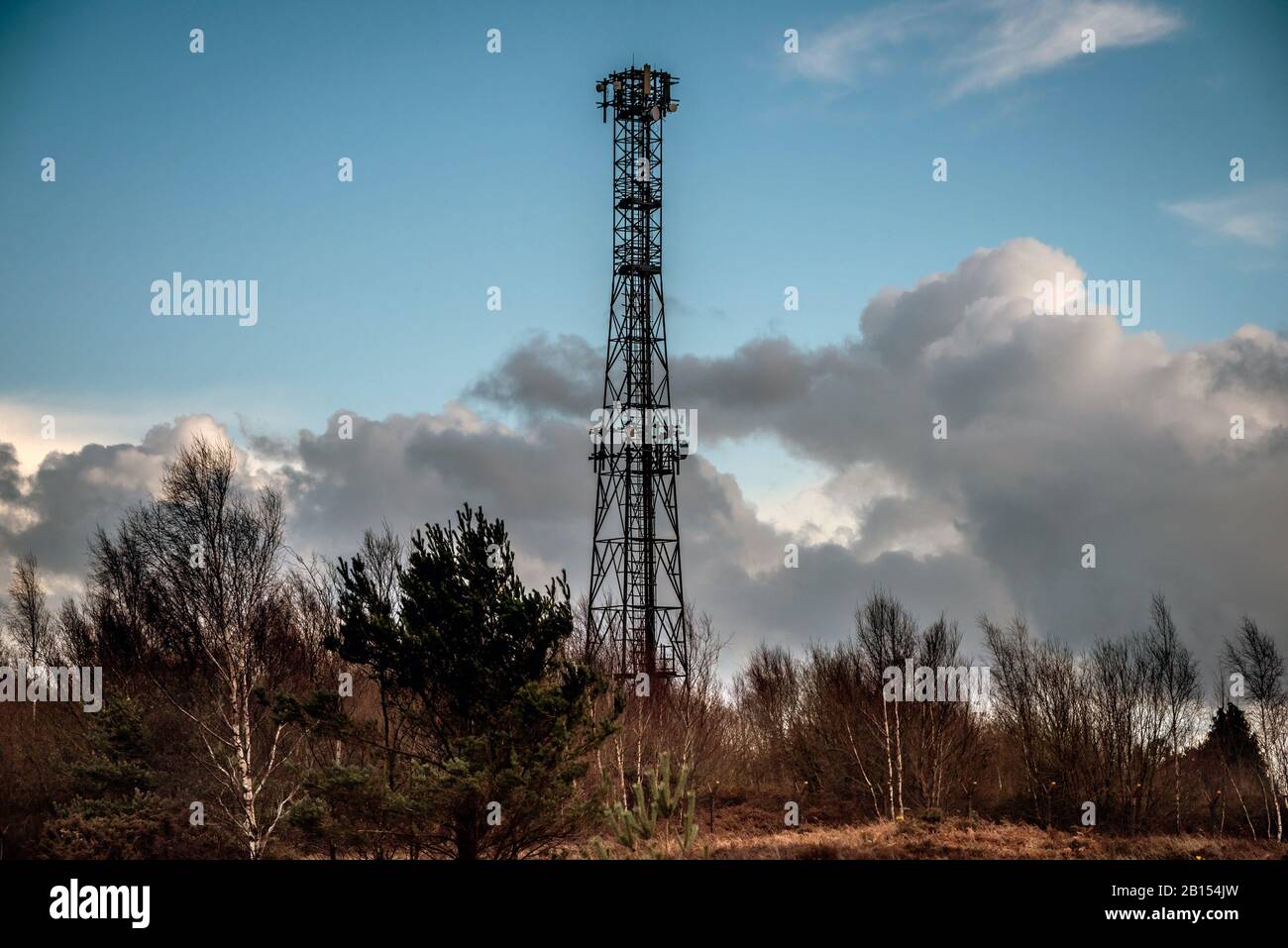 Dudd hi-res stock photography and images - Alamy