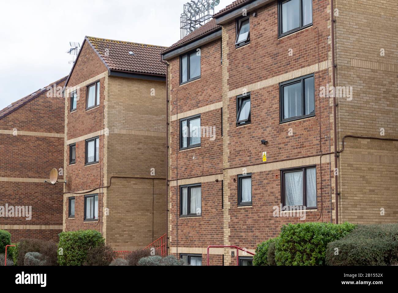 Roots hall drive hi-res stock photography and images - Alamy