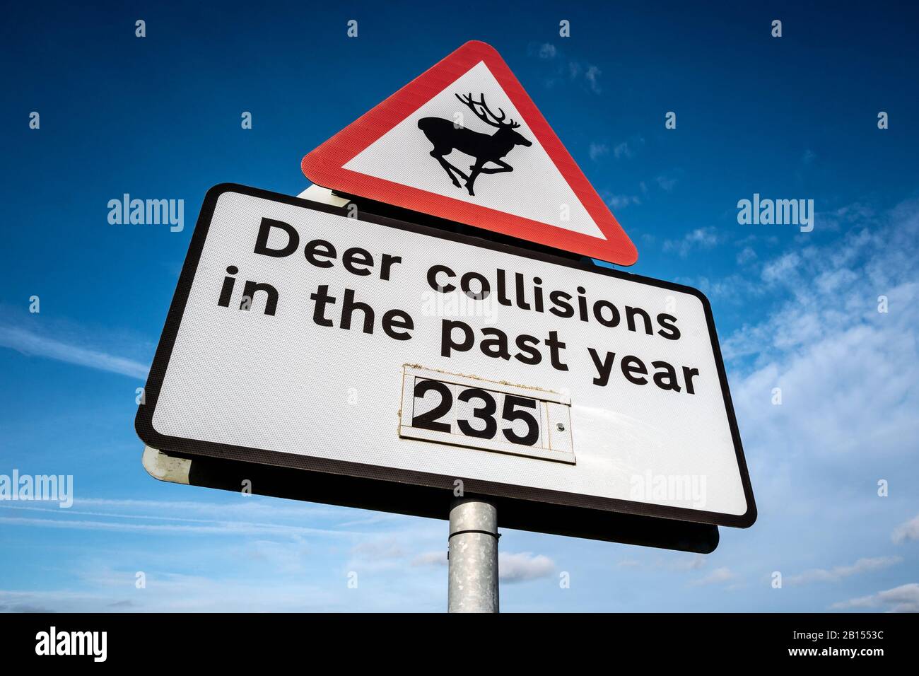 Ashdown forest deer hi-res stock photography and images - Alamy