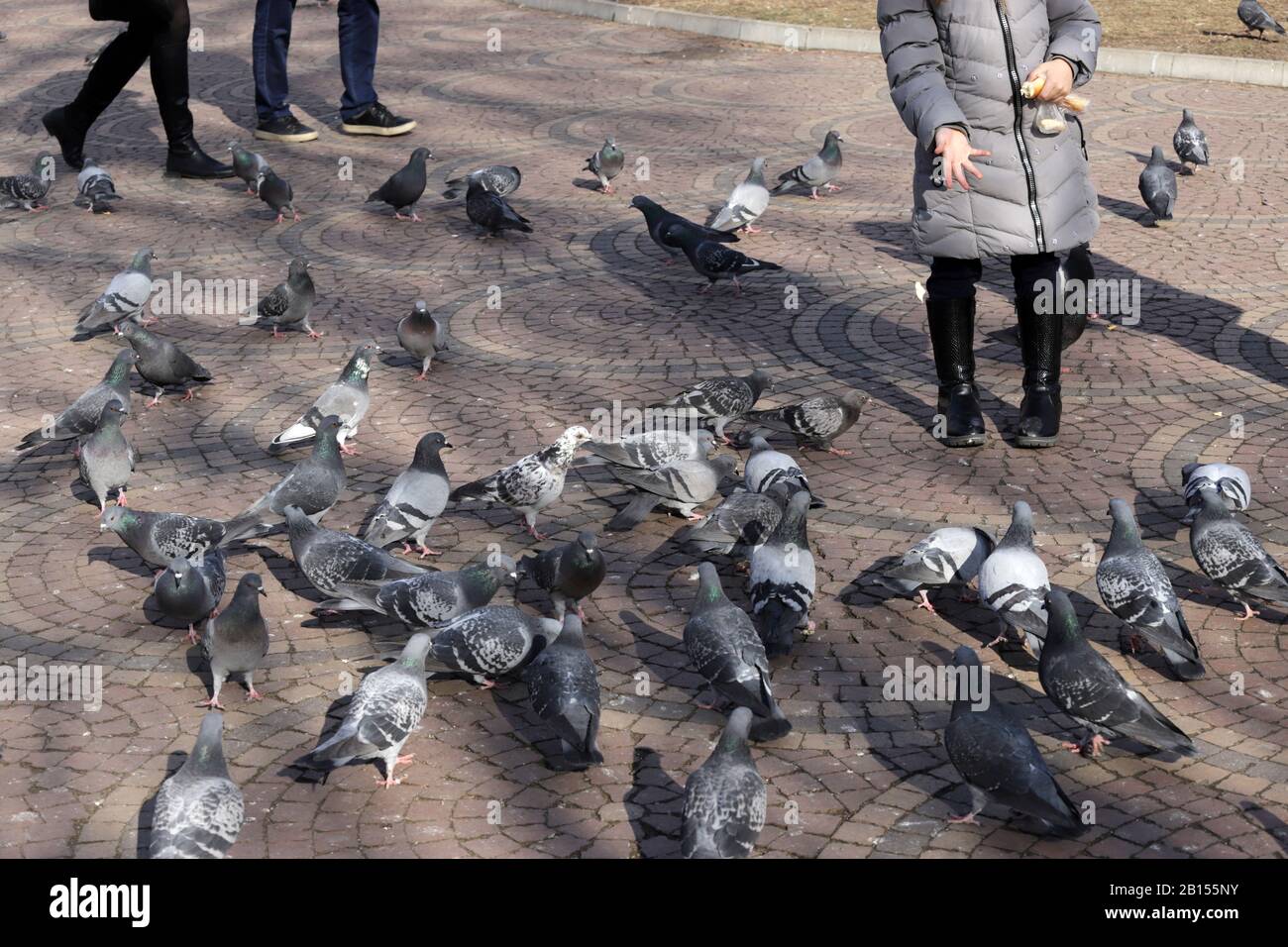 Kids playing pigeon hi-res stock photography and images - Alamy