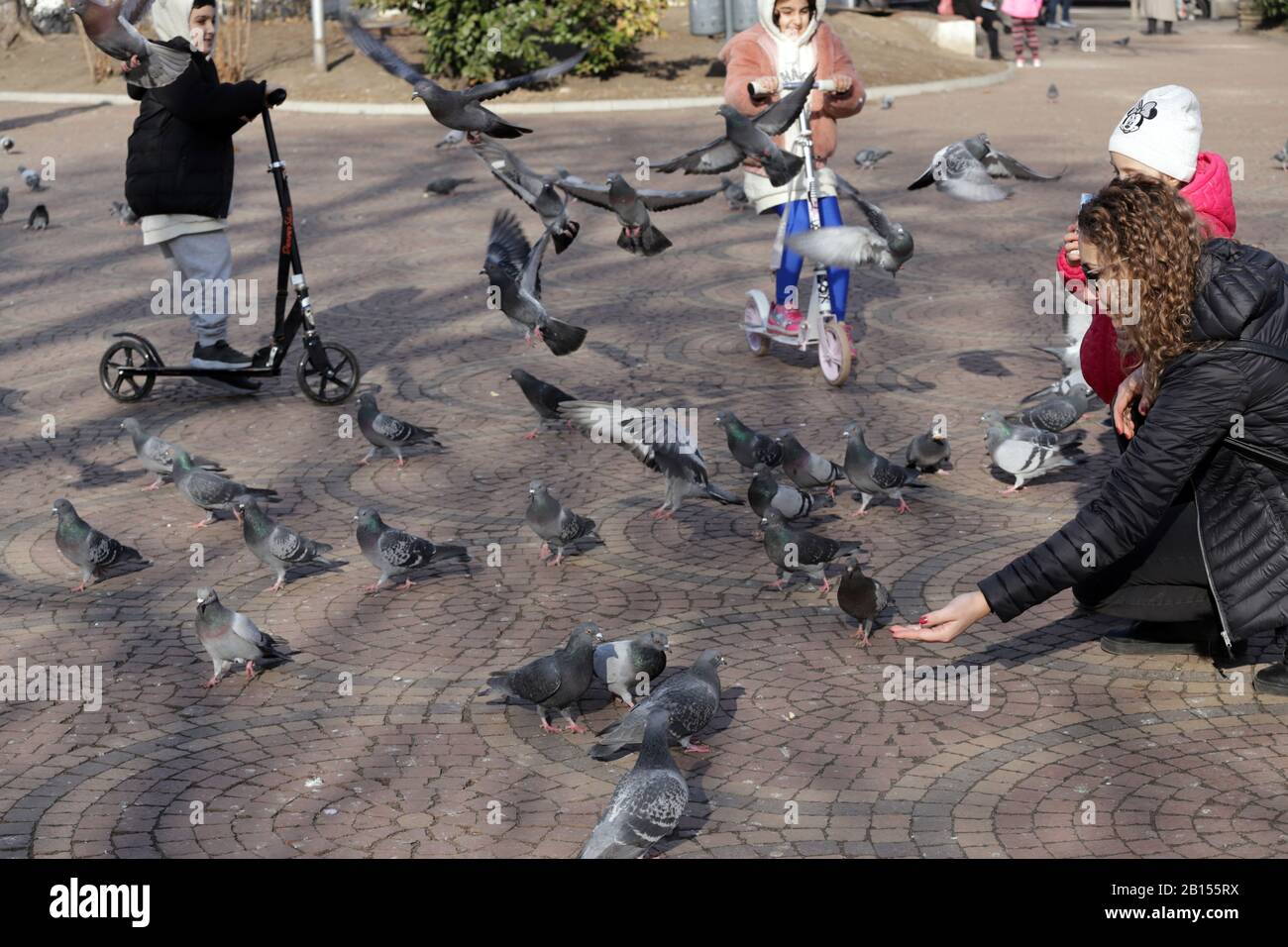Kids playing pigeon hi-res stock photography and images - Alamy