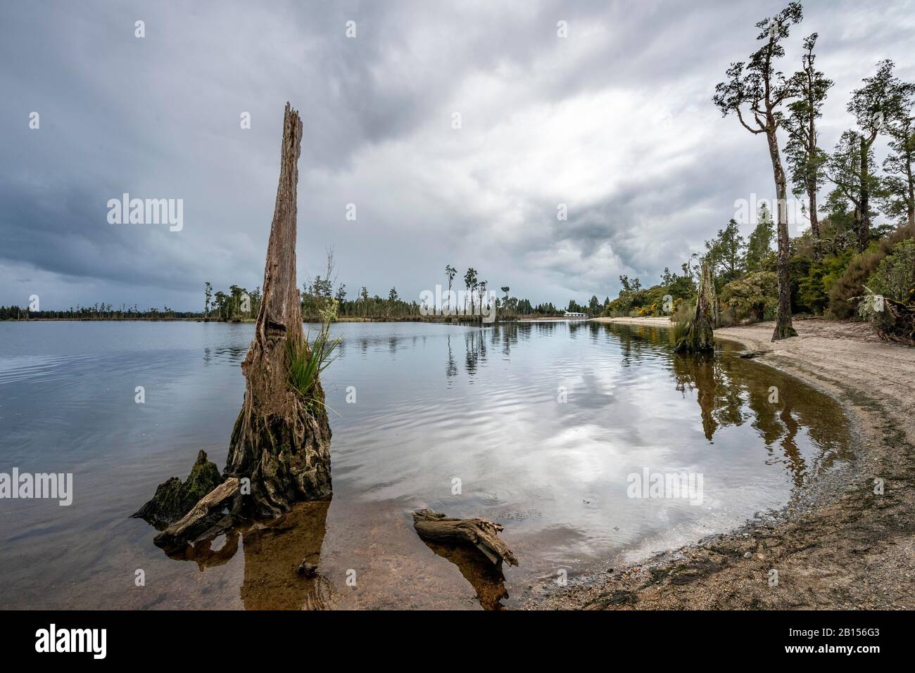 Inchbonnie hi-res stock photography and images - Alamy
