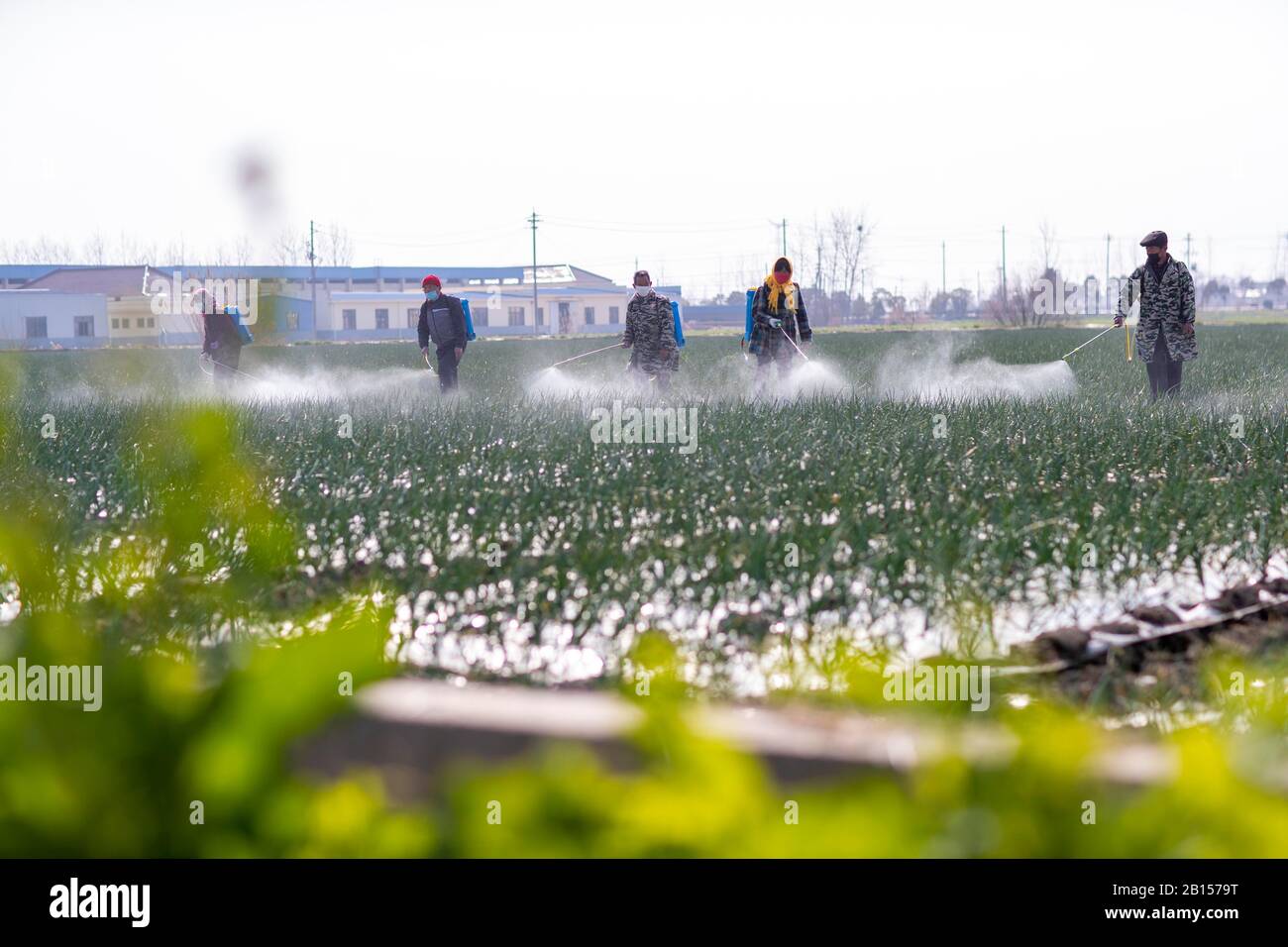 Farmer Ploughing Field In China High Resolution Stock Photography and ...