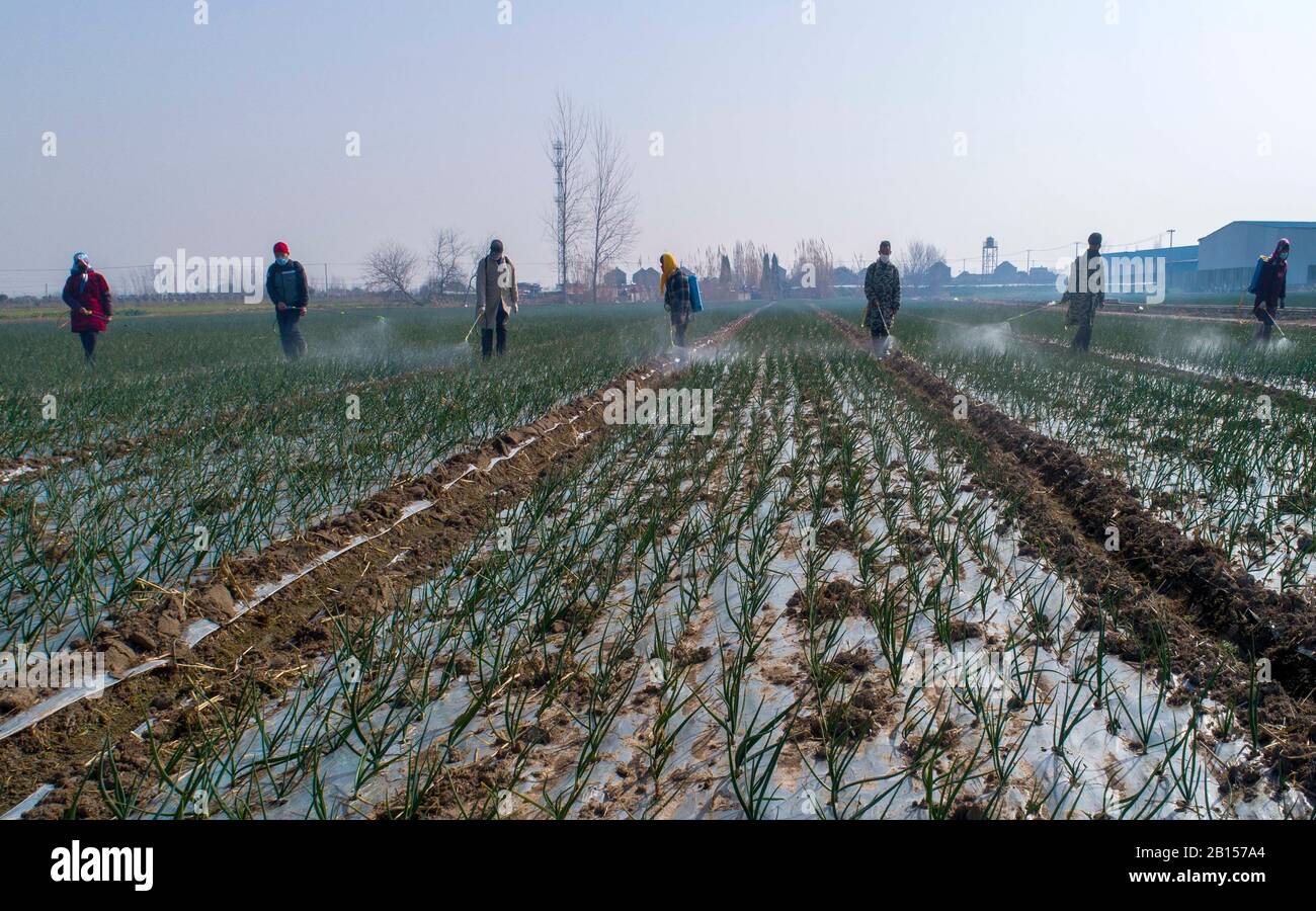 Farmer Ploughing Field In China High Resolution Stock Photography and ...