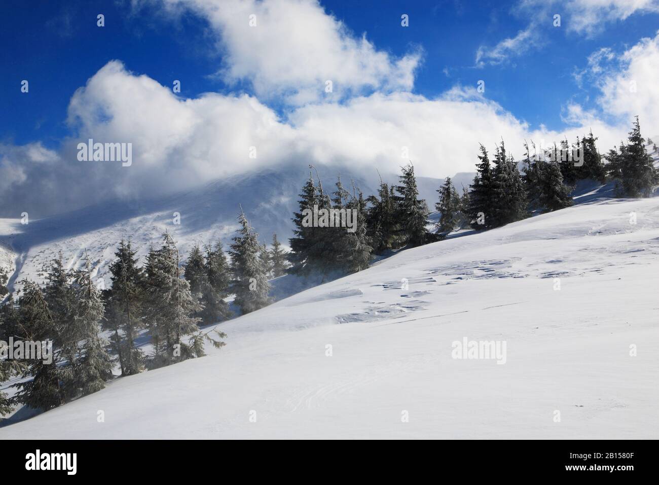 Hoverla Mountain in winter. Eastern Carpathians Stock Photo - Alamy