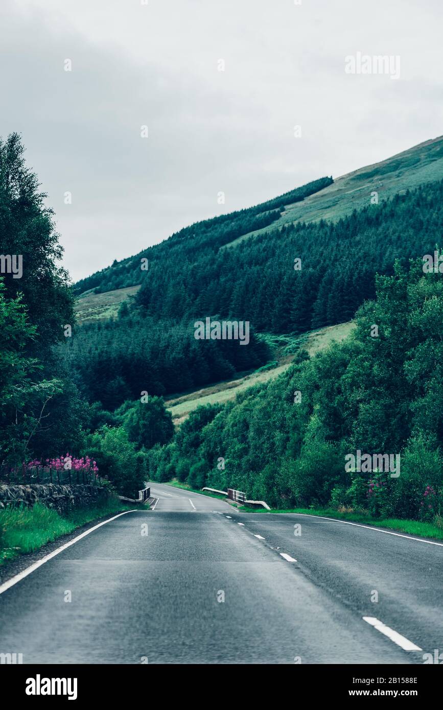 Winding rural road leading through green hills and forest in Scotland ...