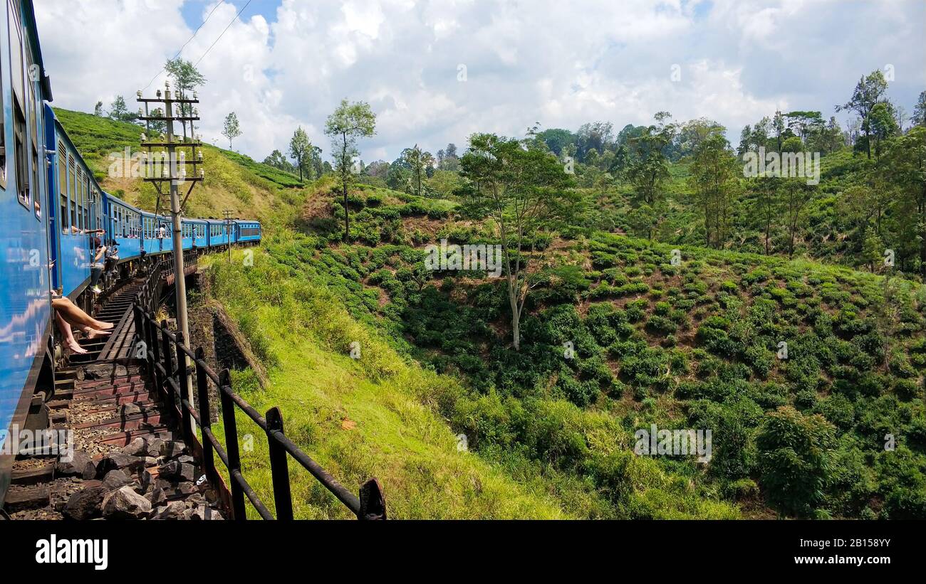 Passenger train with tourists rides through the green fields and the ...