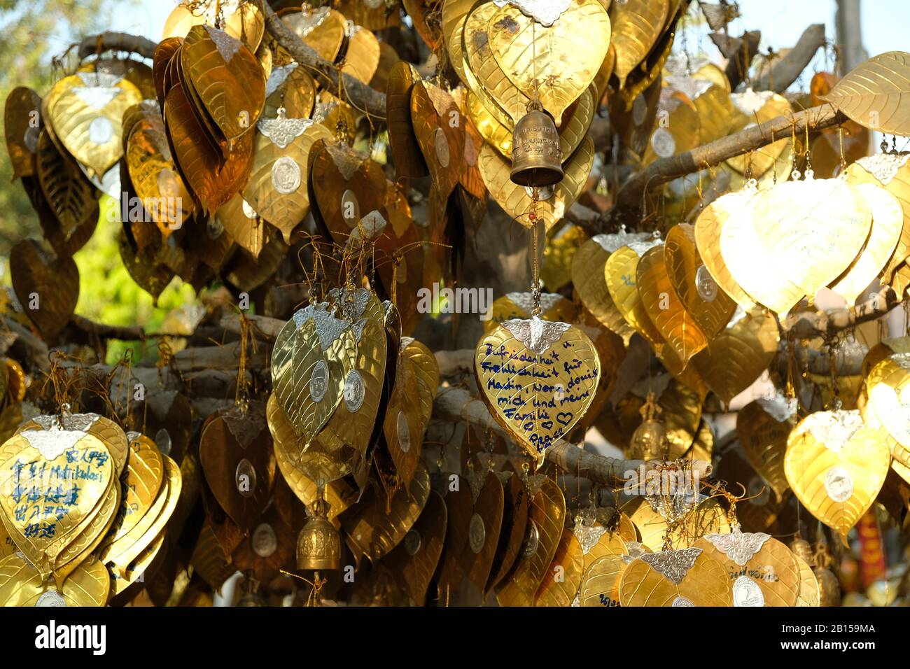 Chiang Mai Thailand - Temple Lok Moli golden wishing tree Stock Photo ...